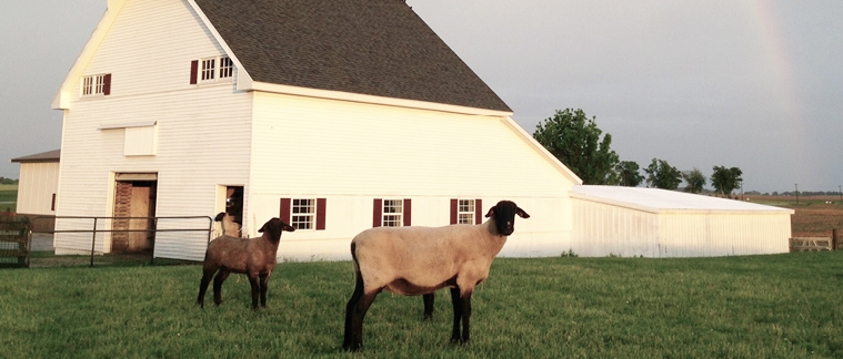 Small Ruminant Producer Workshop - College of Veterinary Medicine ...
